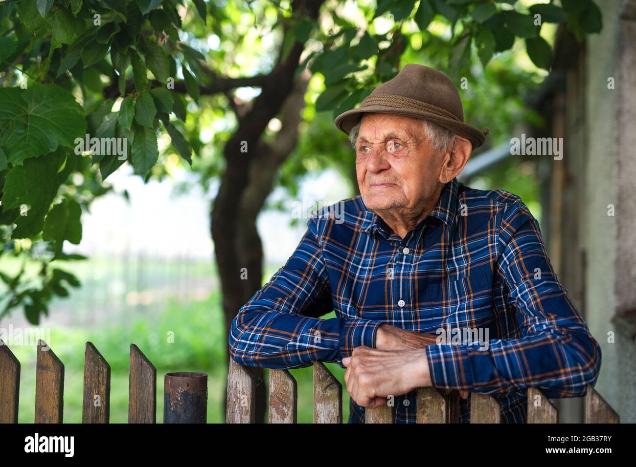 Portrait of elderly man standing outdoors in garden, leaning on wooden ...
