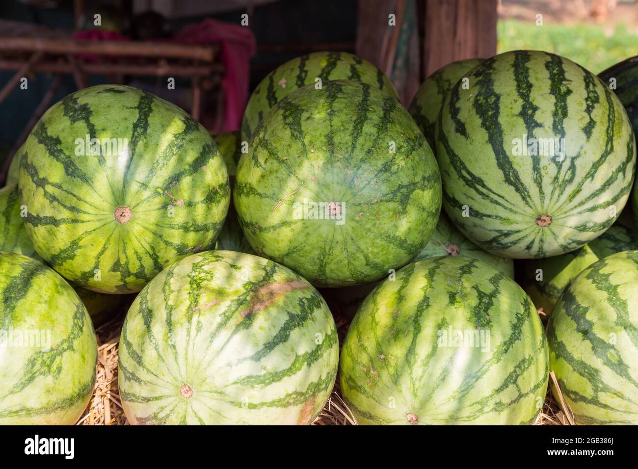 Fresh sweet green watermelons background Stock Photo - Alamy