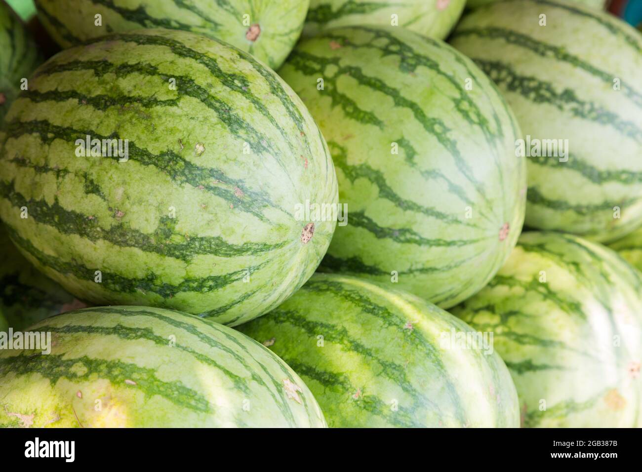 Fresh sweet green watermelons background Stock Photo - Alamy