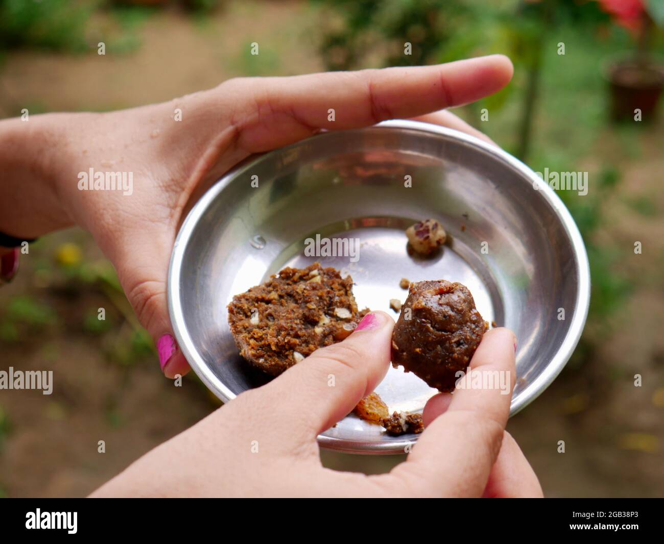 Jaggery sweet presented on stainless steel food plate by female hand ...