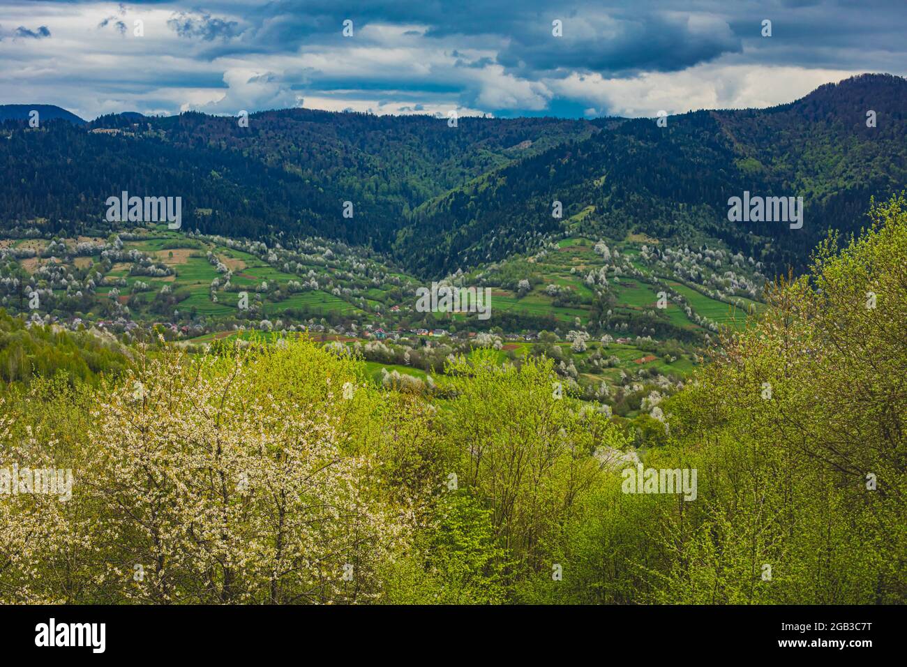 The great view of the mountains in the spring Stock Photo - Alamy