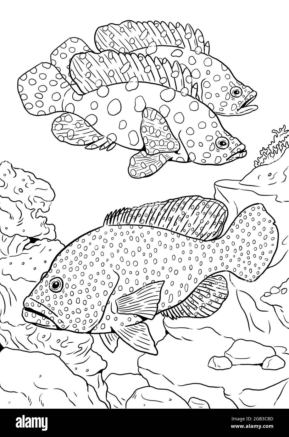 Coral Reef Template Printables