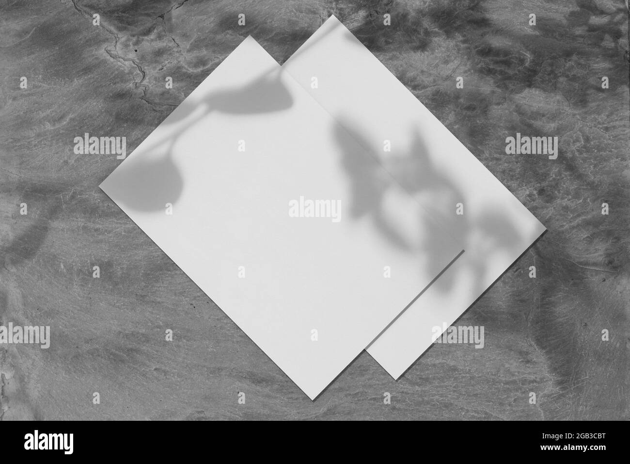 Two empty white rectangle poster diagonal mockups with tree shadow ...