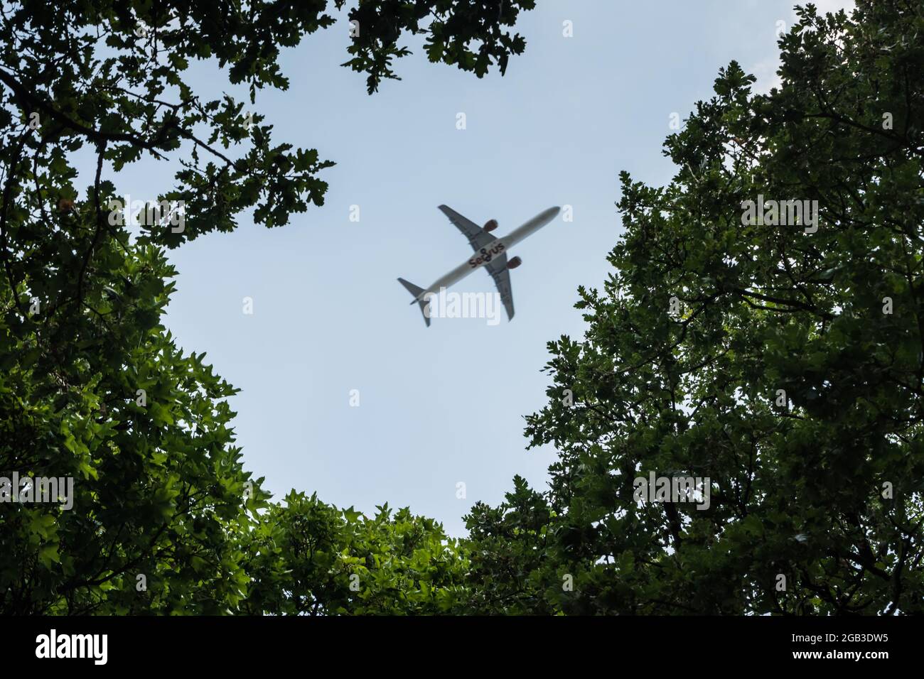 Fly between trees hi-res stock photography and images - Alamy