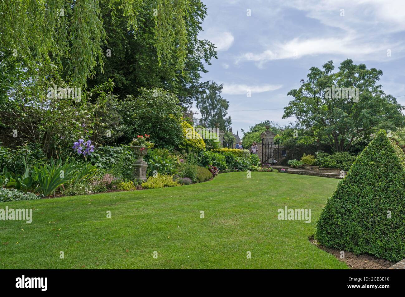 Typical English in summer, garden laid to lawn, flowerbeds and shrubs ...