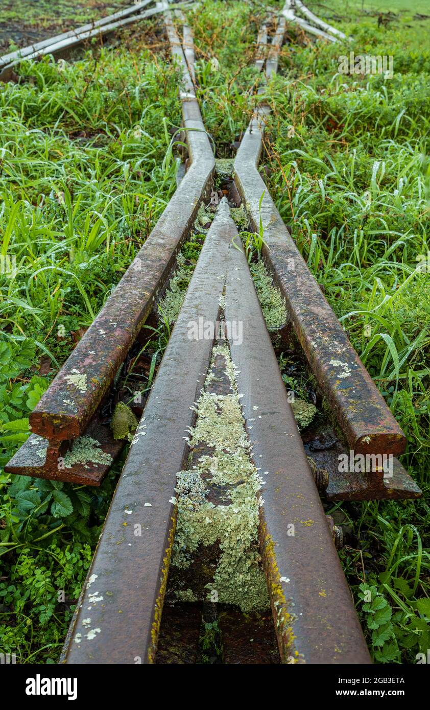 Railway cross over track area with green grass growing around it Stock ...