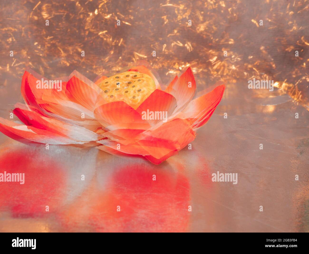 orange color Artificial Lotus plant presented with fire light effect on ...