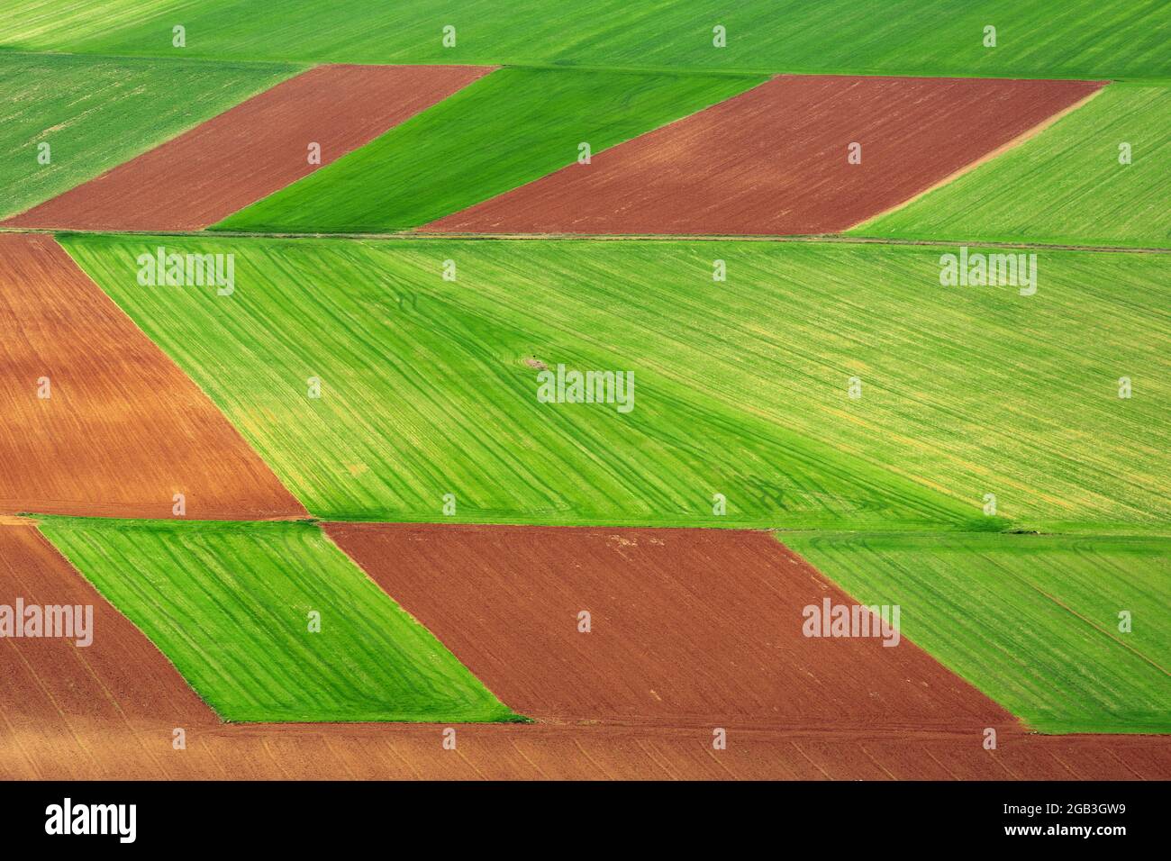 Aerial photo of a multicolored and fertile cultivated field during ...