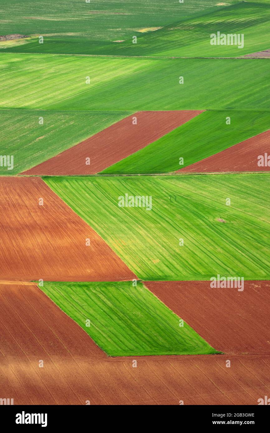 Aerial photo of a multicolored and fertile cultivated field during ...