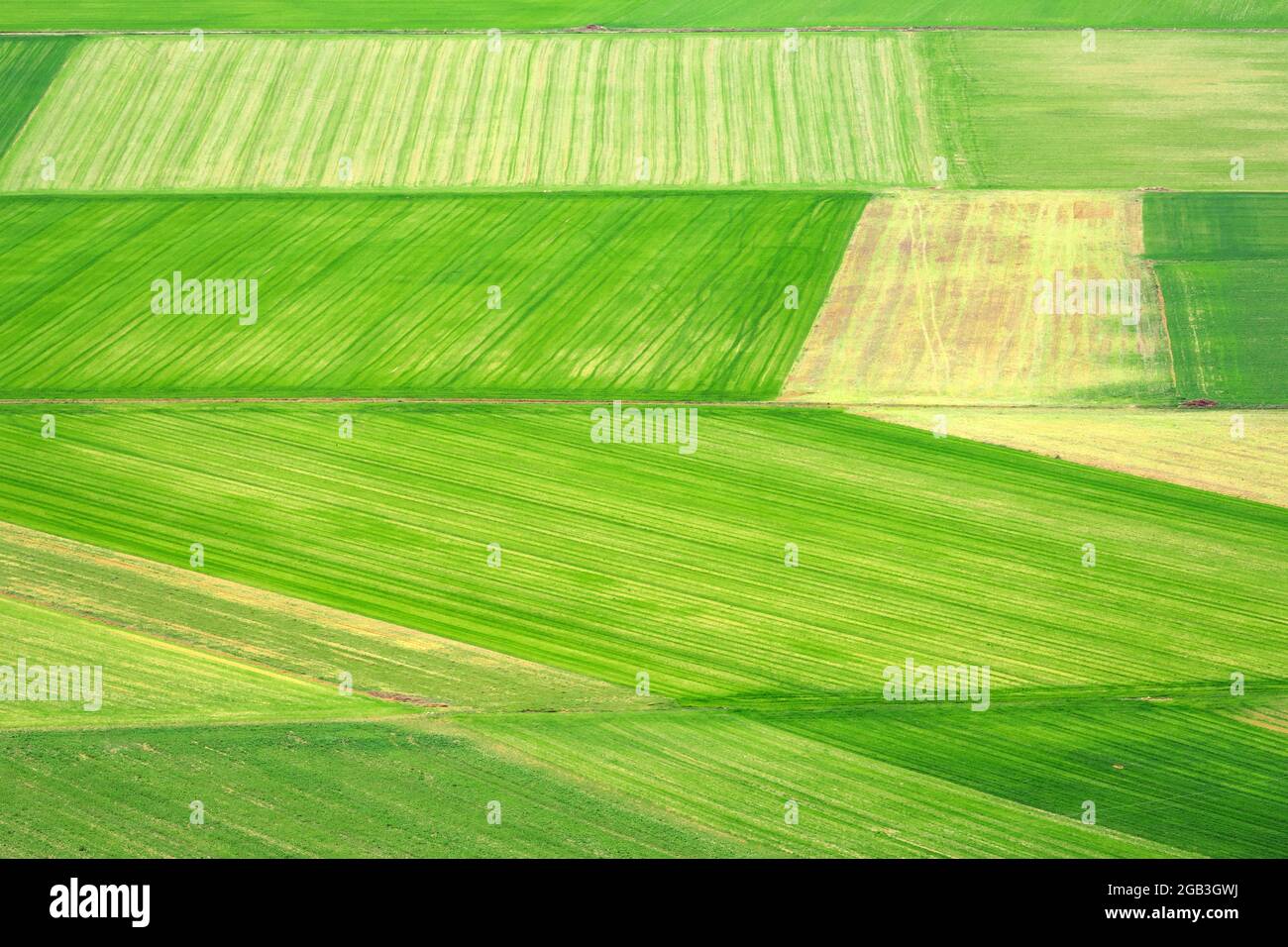 Aerial photo of a multicolored and fertile cultivated field during ...