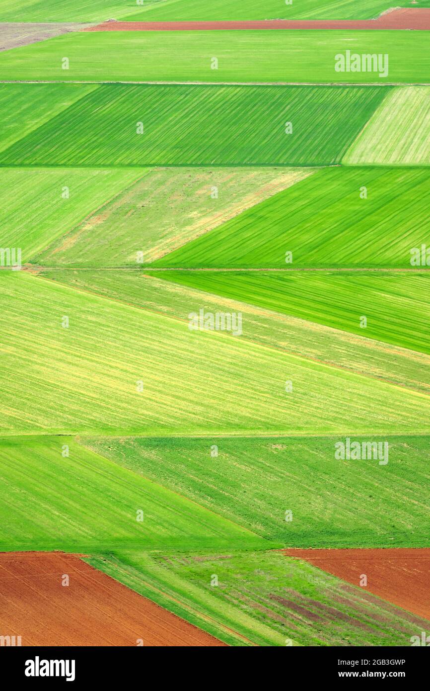 Aerial photo of a multicolored and fertile cultivated field during ...
