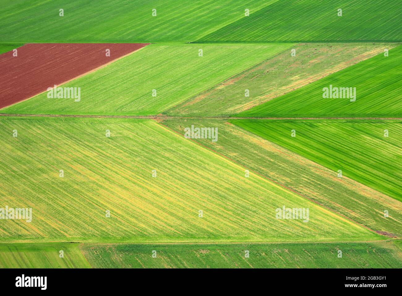 Aerial photo of a multicolored and fertile cultivated field during ...