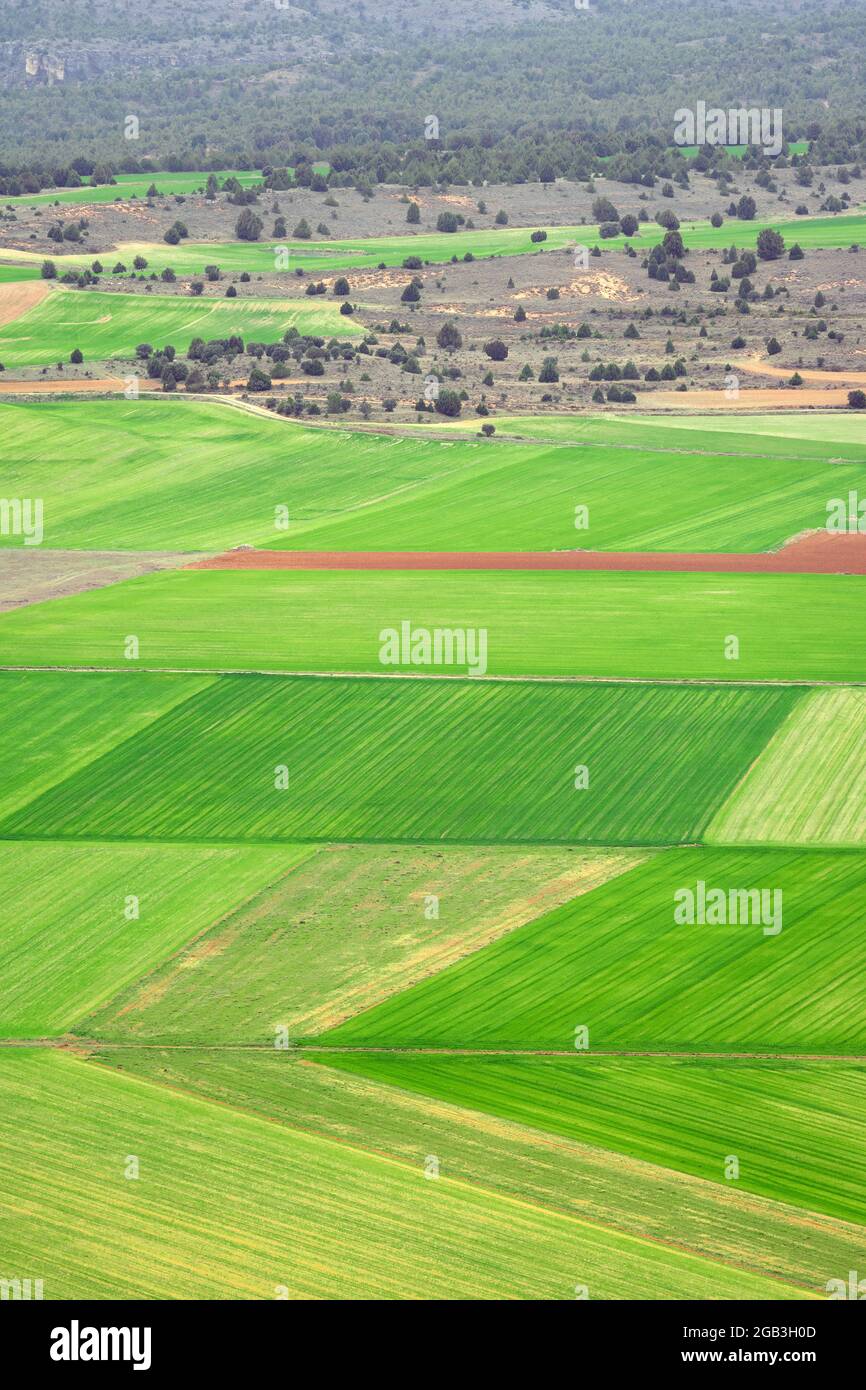 Aerial photo of a multicolored and fertile cultivated field during ...