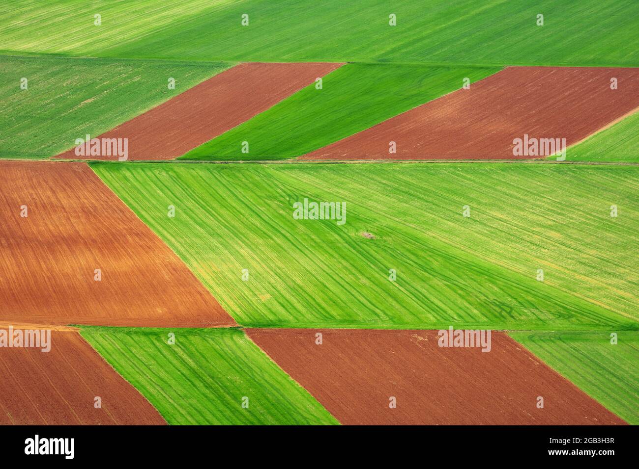 Aerial photo of a multicolored and fertile cultivated field during ...