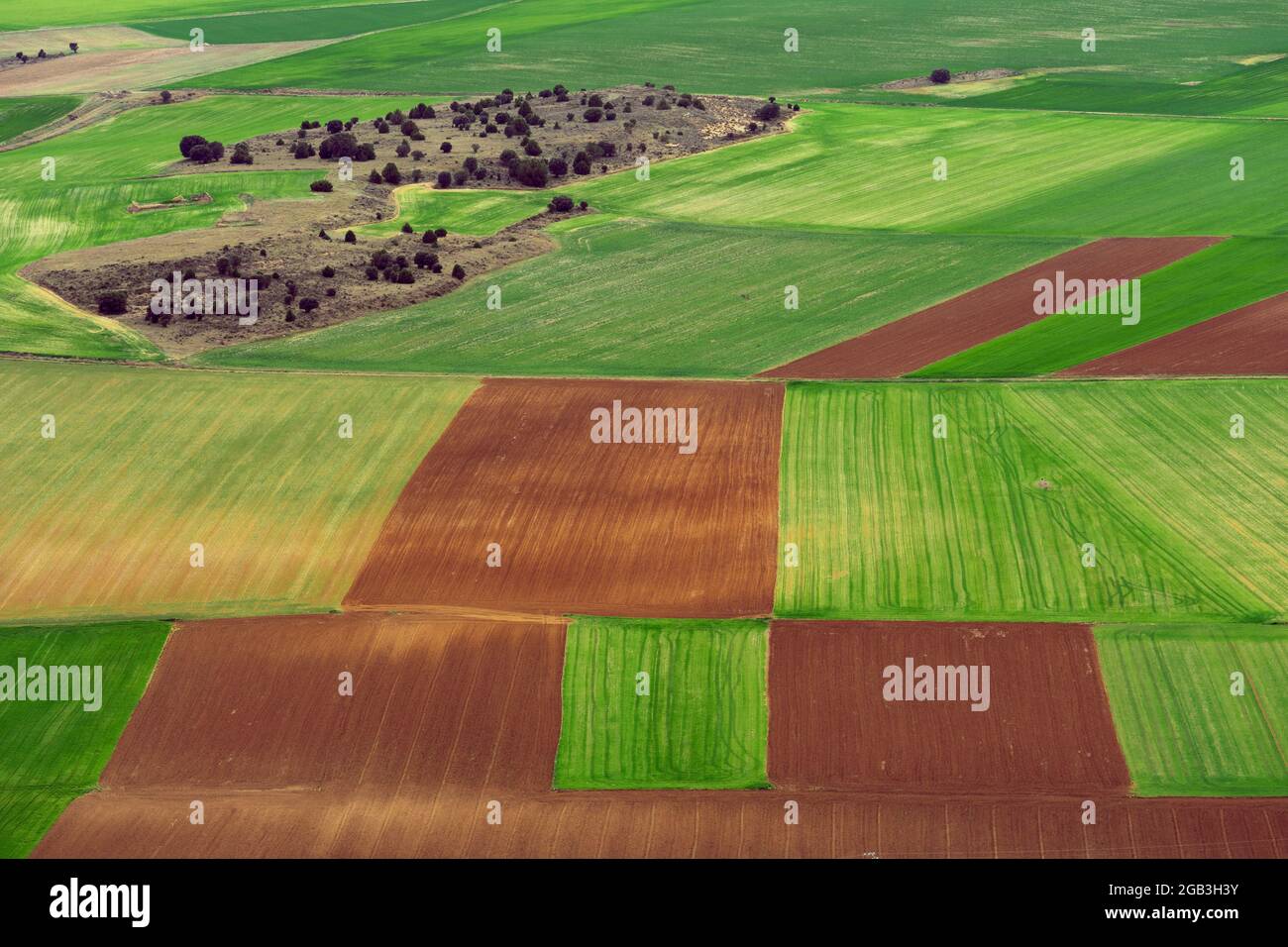 Aerial photo of a multicolored and fertile cultivated field during ...