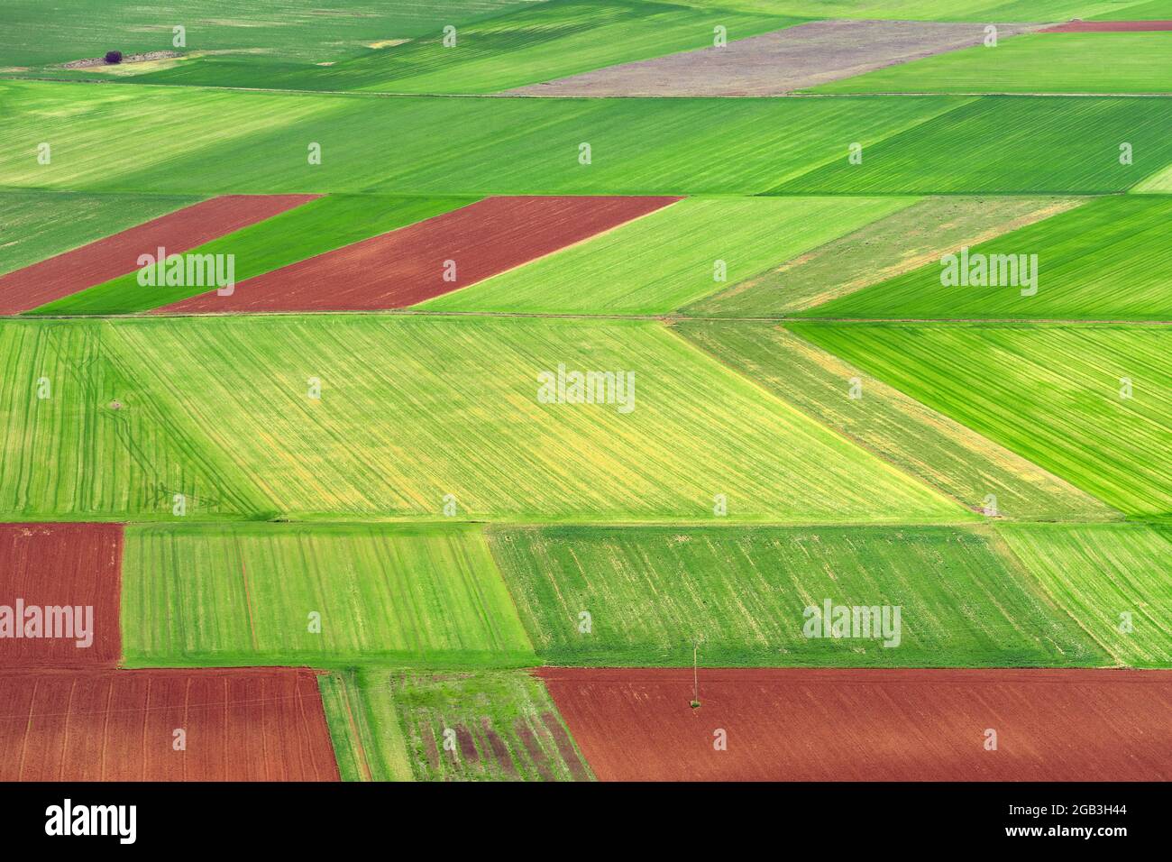 Aerial photo of a multicolored and fertile cultivated field during ...