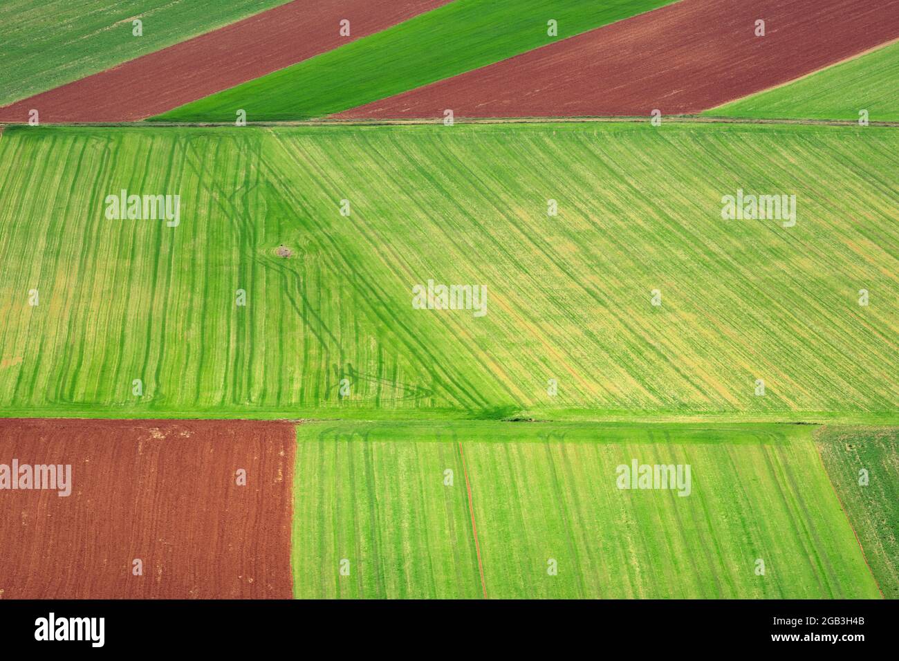 Aerial photo of a multicolored and fertile cultivated field during ...