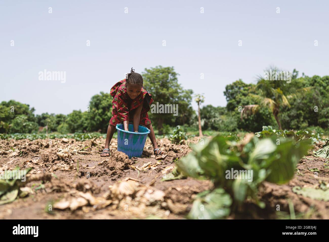 Rinse bucket hi-res stock photography and images - Alamy