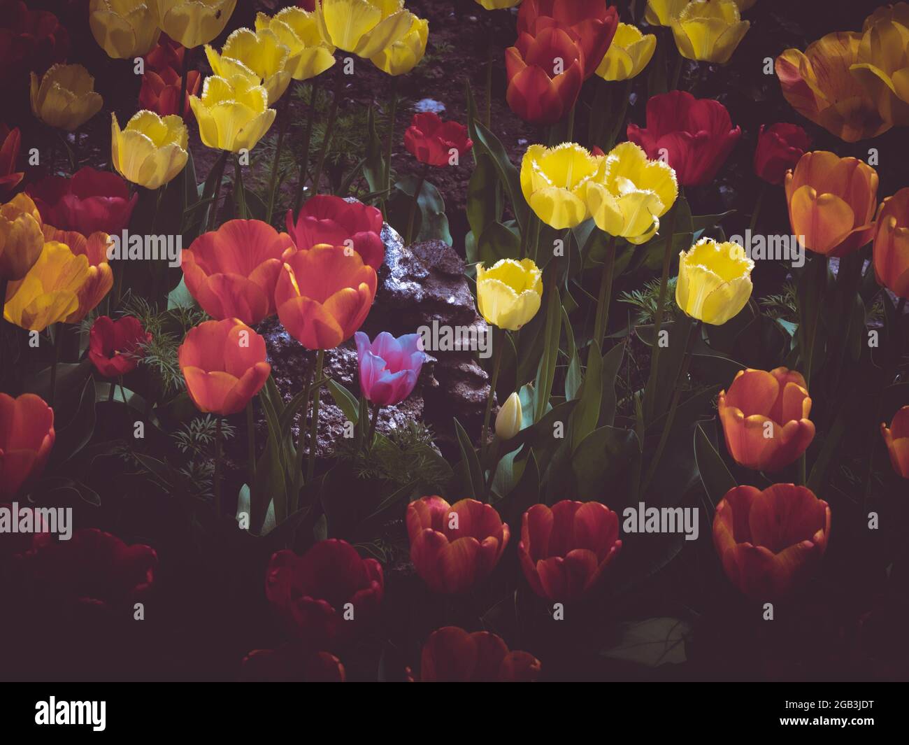 Selective focus dark hi-res stock photography and images - Alamy