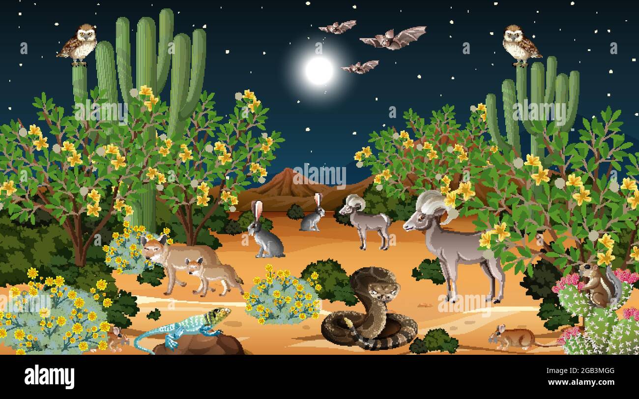 Desert forest landscape at night scene with wild animals illustration Stock Vector Image & Art ...