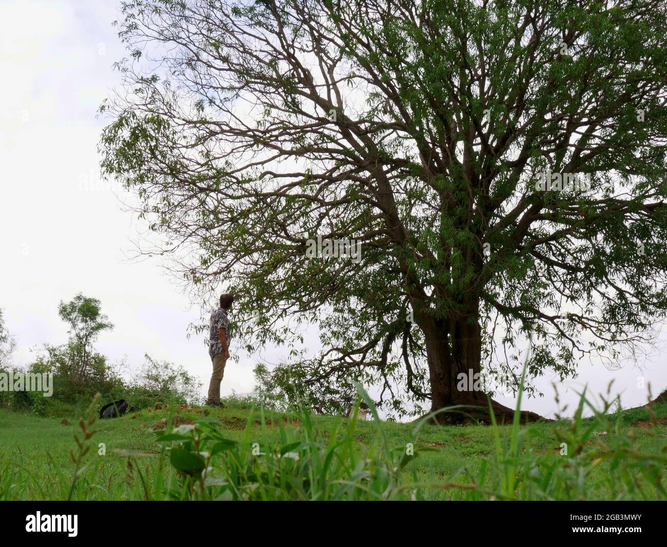 Wide angle view bearded hi-res stock photography and images - Alamy