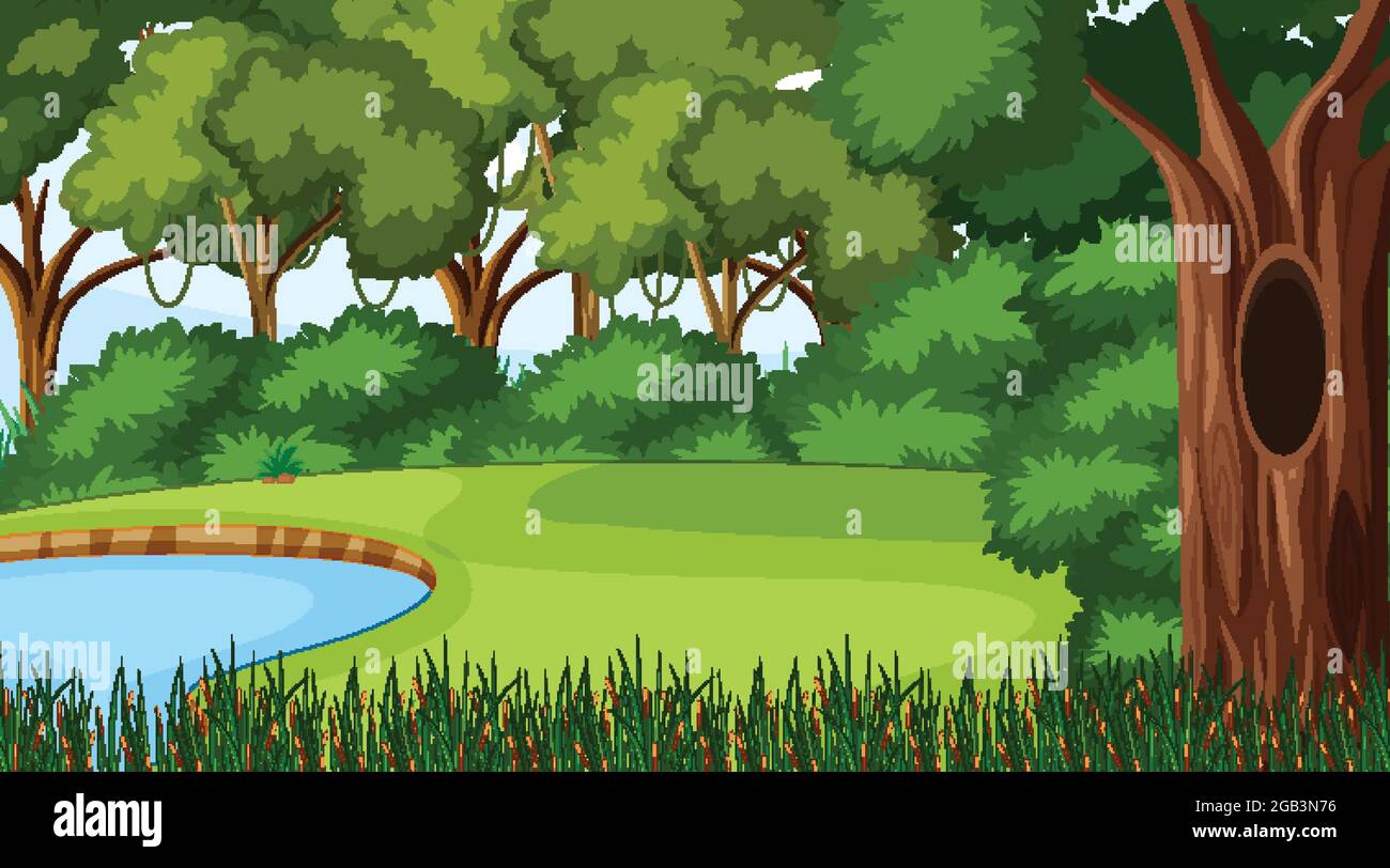 Forest scene with various forest trees and pond illustration Stock ...