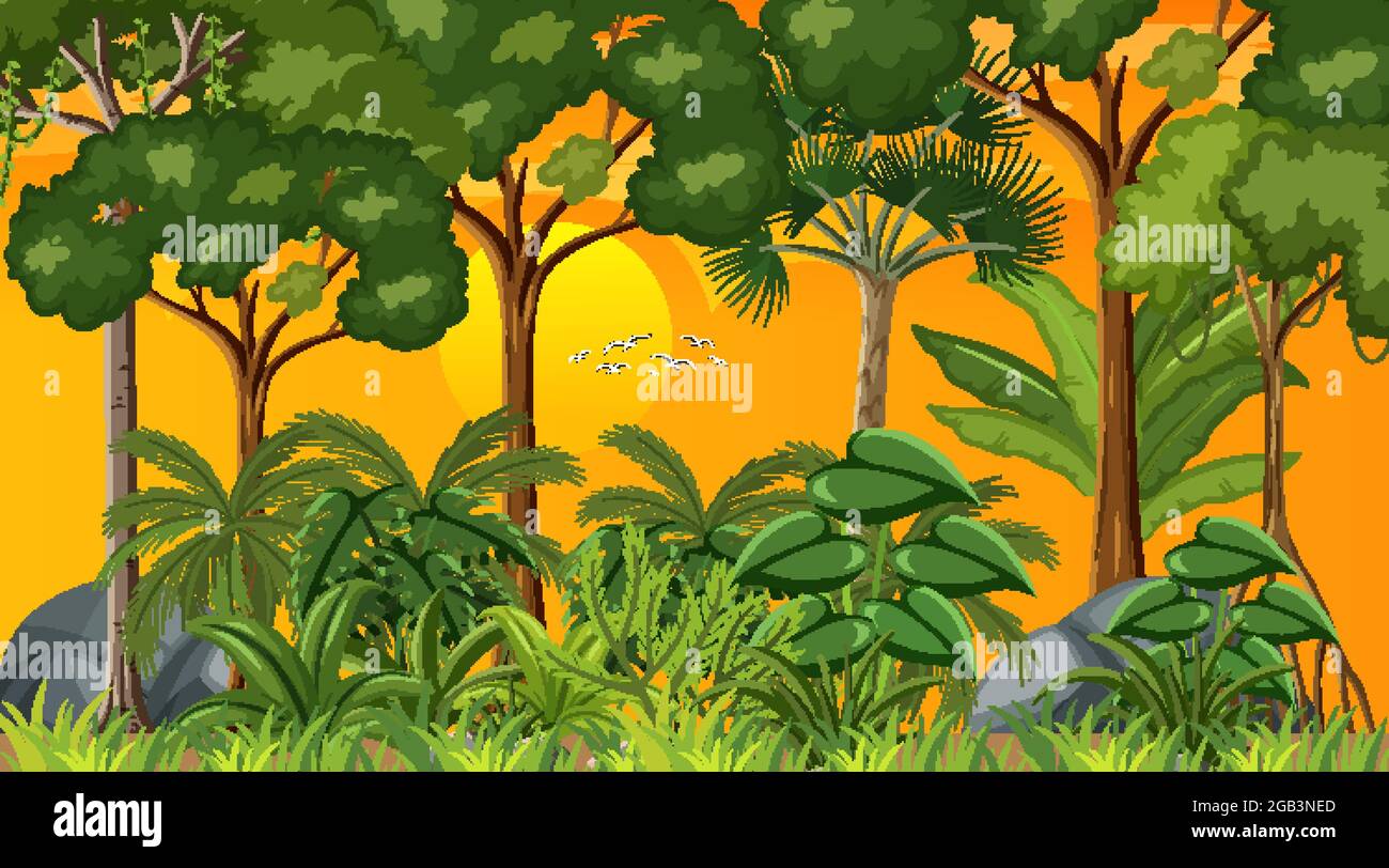 Forest landscape scene at sunset time illustration Stock Vector Image ...