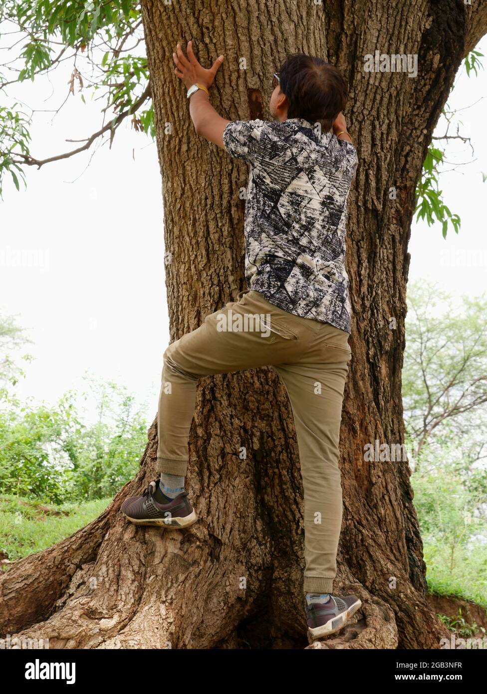 Village man climbing on tree, people lifestyle at nature field Stock ...