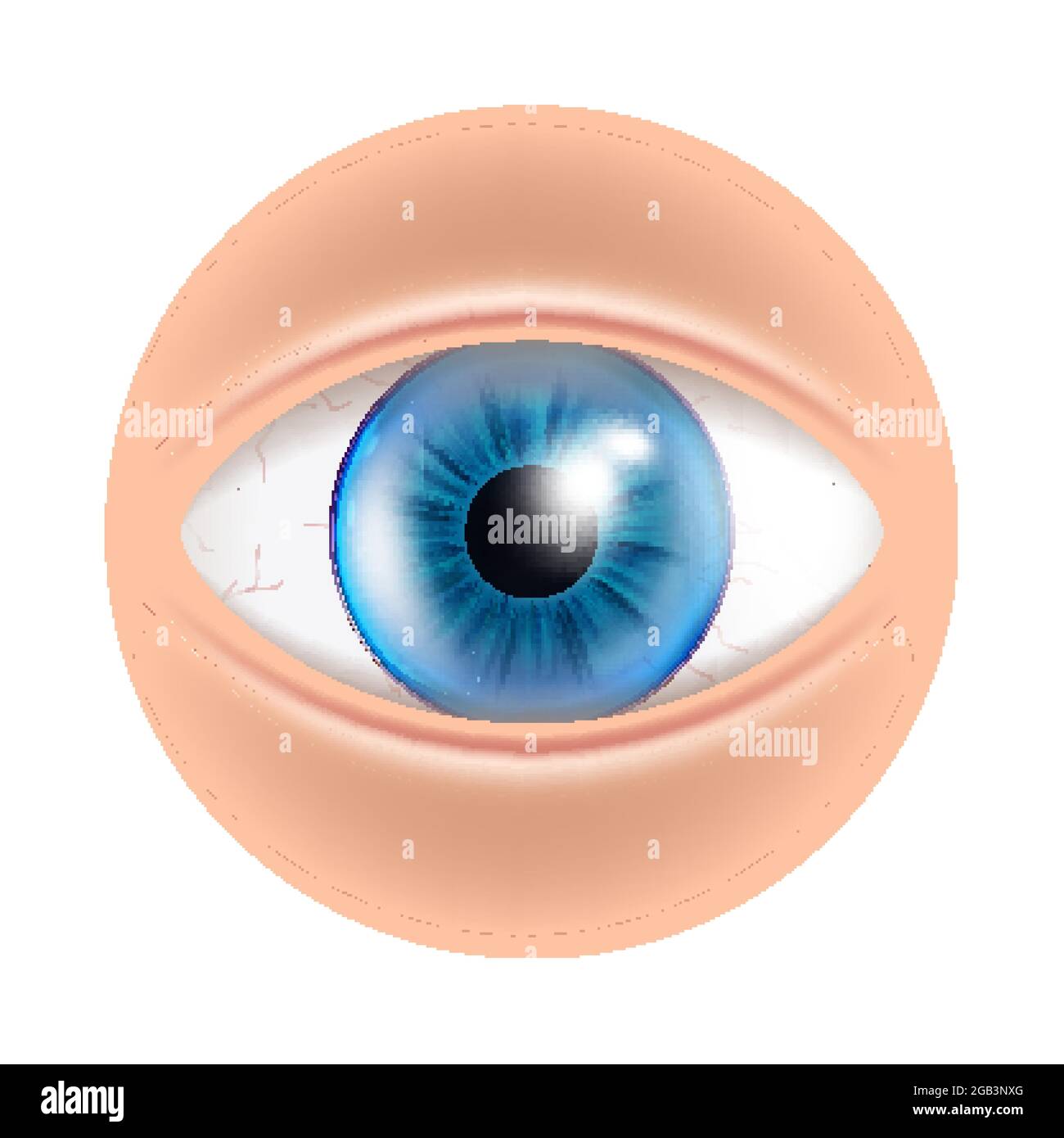 Eye contact watching Stock Vector Images - Alamy