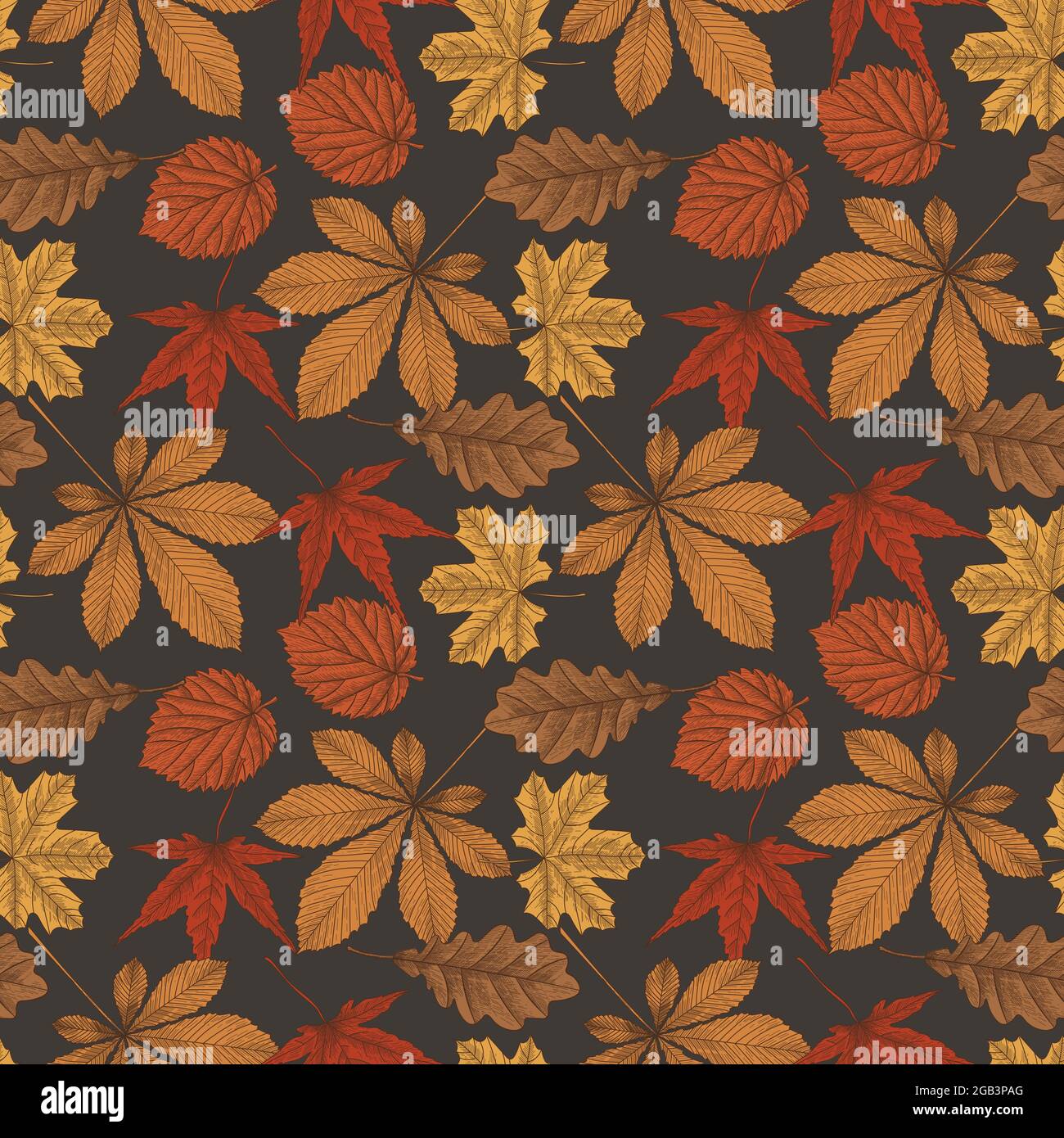 Autumn leaves seamless pattern in vintage style. Vector illustration in ...