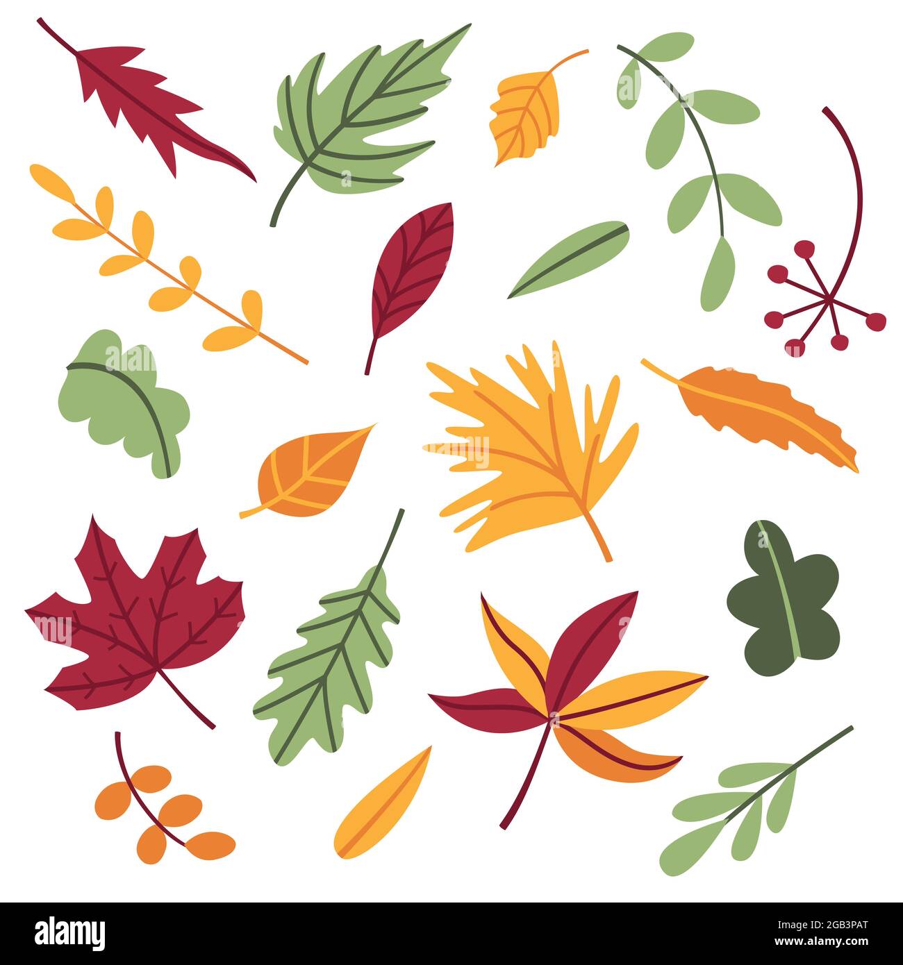 Set of autumn leaves and twigs in cartoon flat doodle style. Leaf of maple, oak and various ...