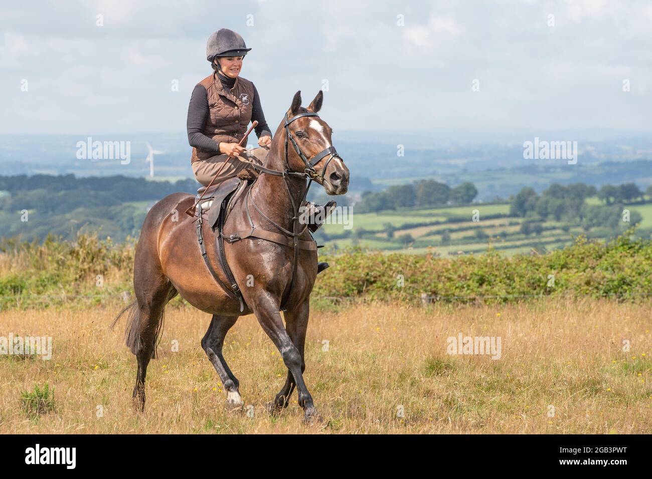 Side saddle hi-res stock photography and images - Alamy