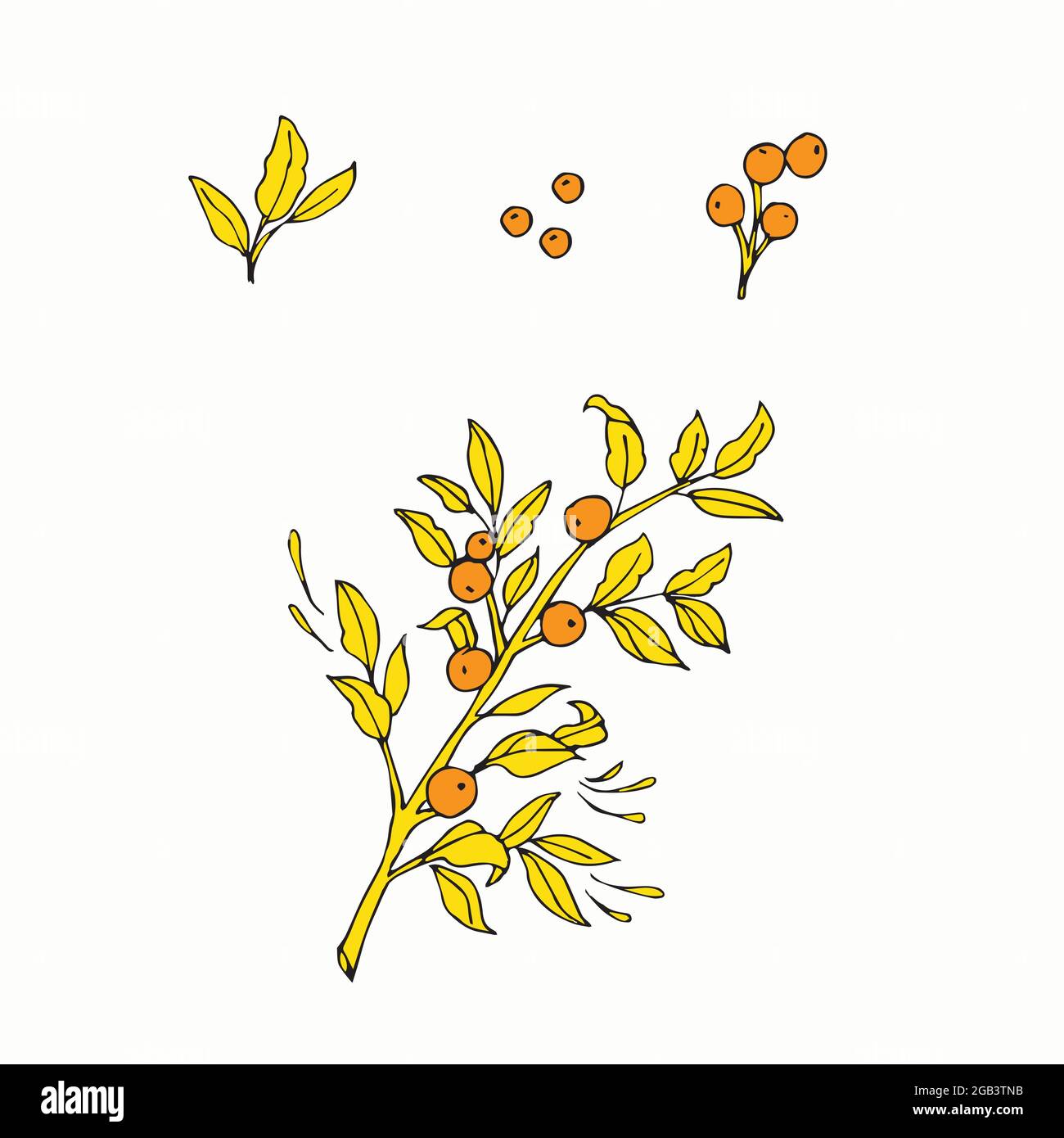 Etc vector vectors Stock Vector Images - Alamy