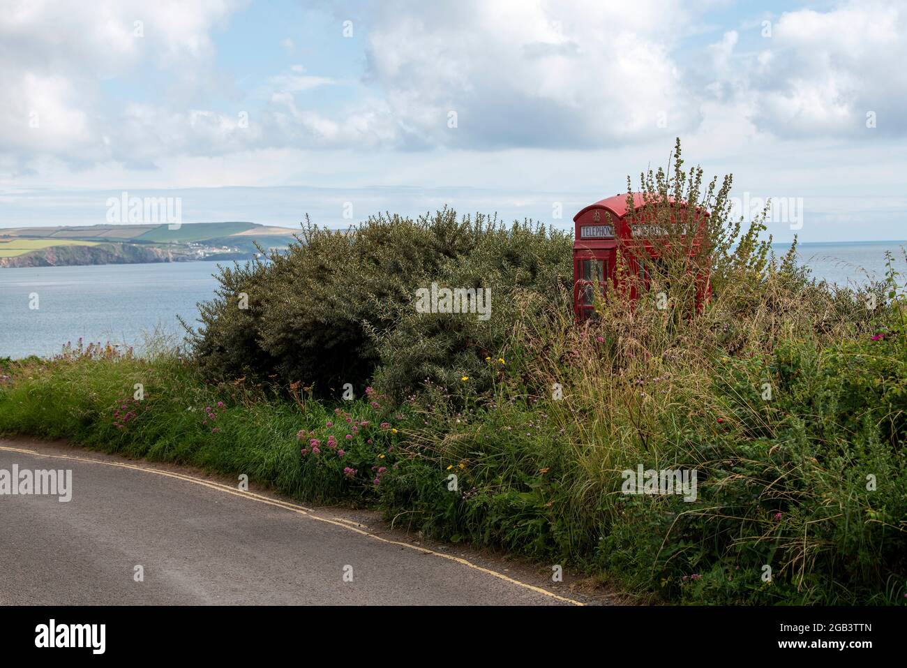 Red telephone box overgrown plants hi-res stock photography and images ...