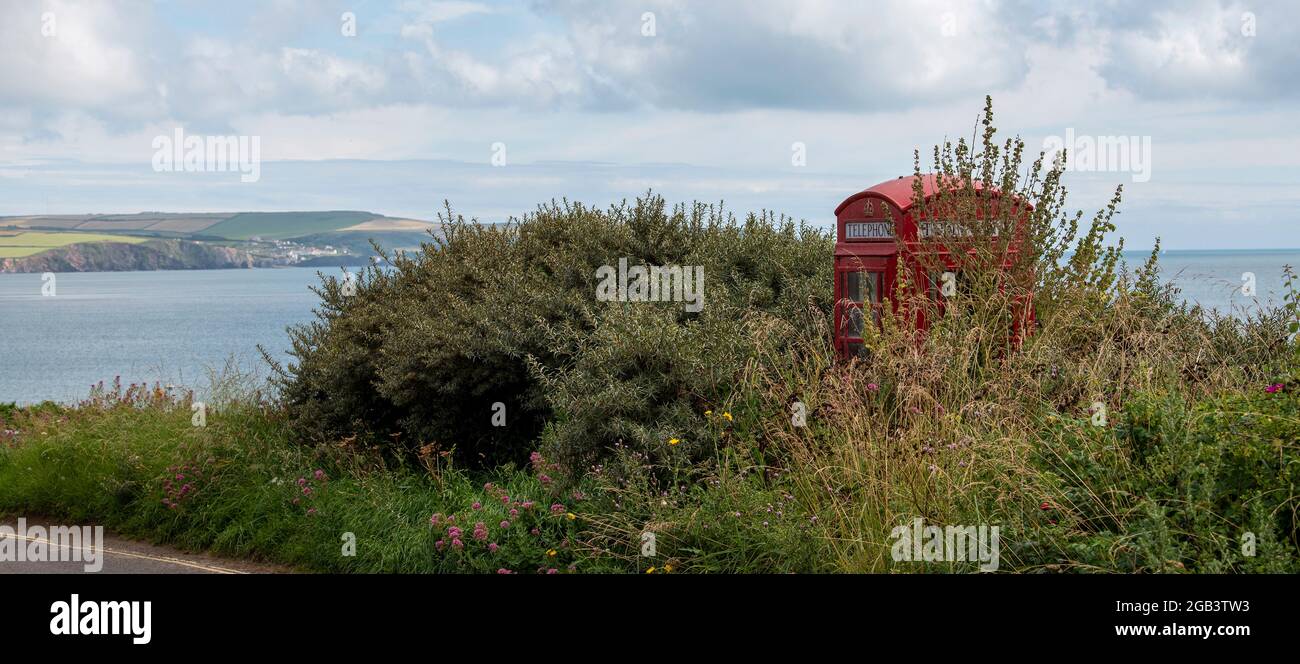 Red telephone box overgrown plants hi-res stock photography and images ...