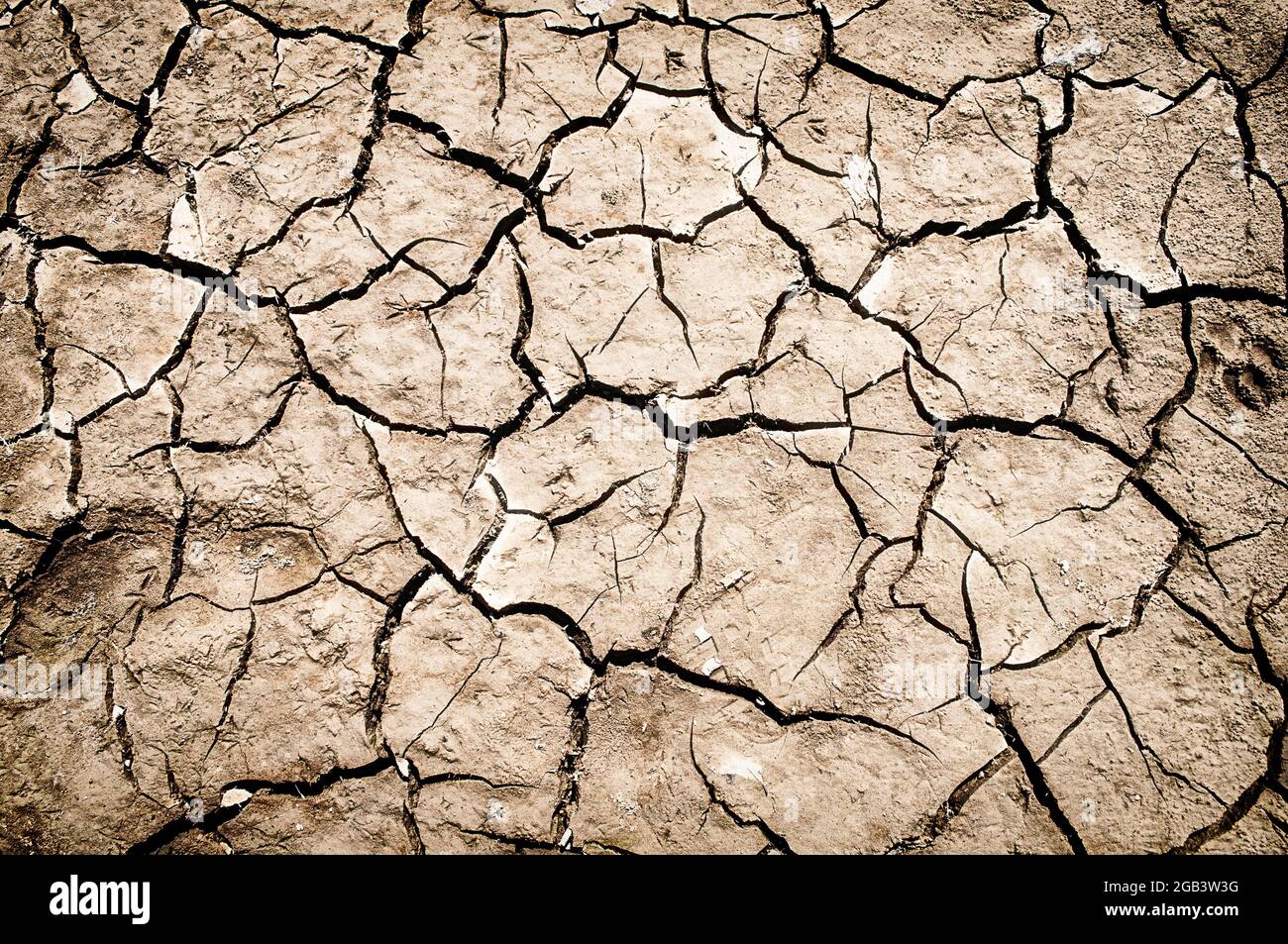 Patch of land hi-res stock photography and images - Alamy