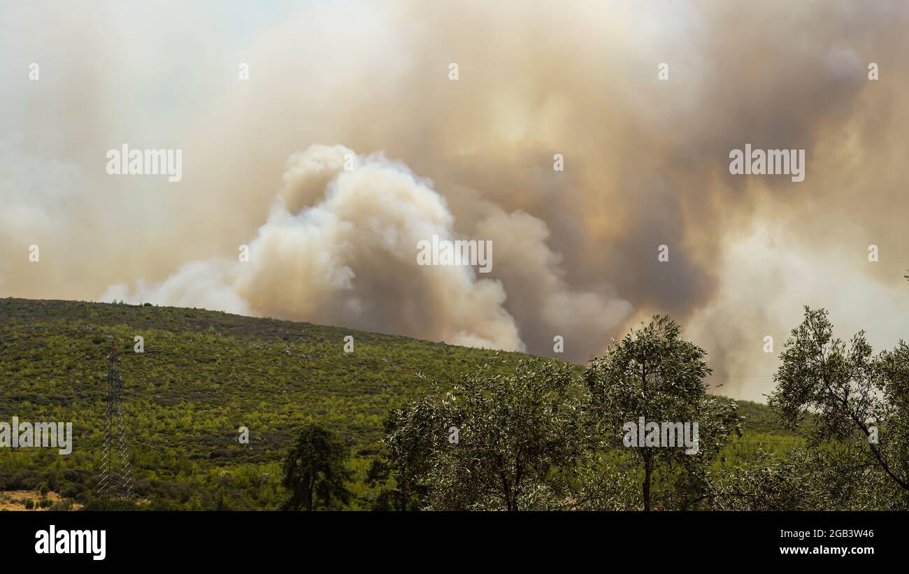 Turkey strives to put out wildfires. Massive wildfires across Turkey ...