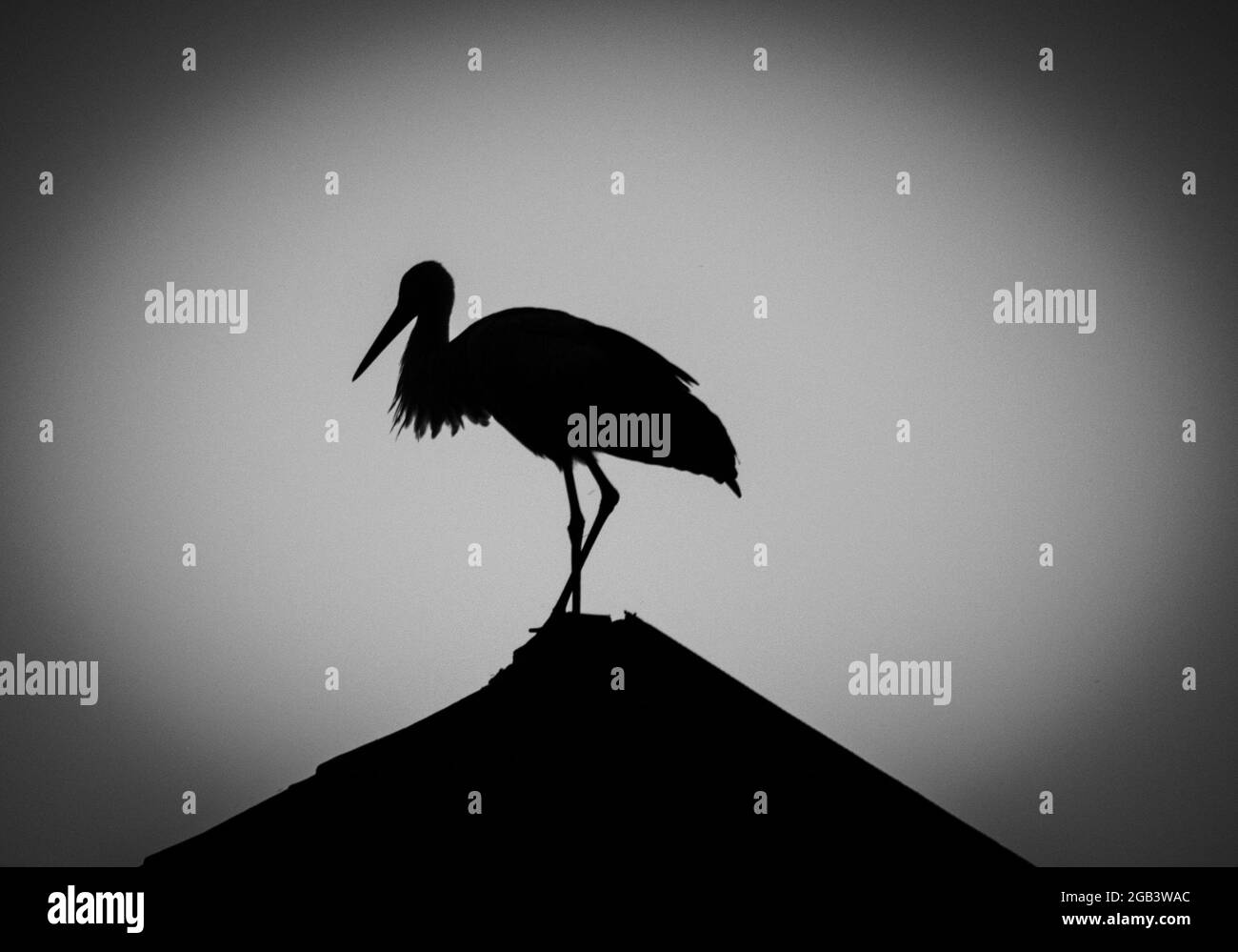 Roof of a house Black and White Stock Photos & Images - Alamy