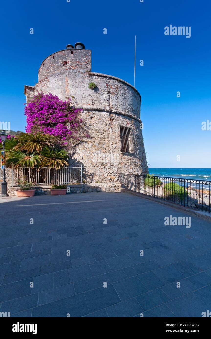 Saracen tower hi-res stock photography and images - Alamy