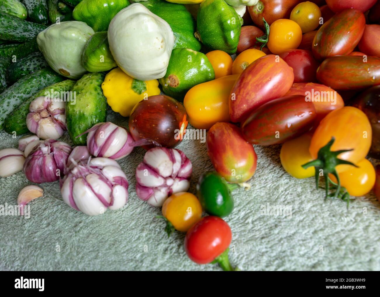color photo with autumn vegetables on the table, different colors ...