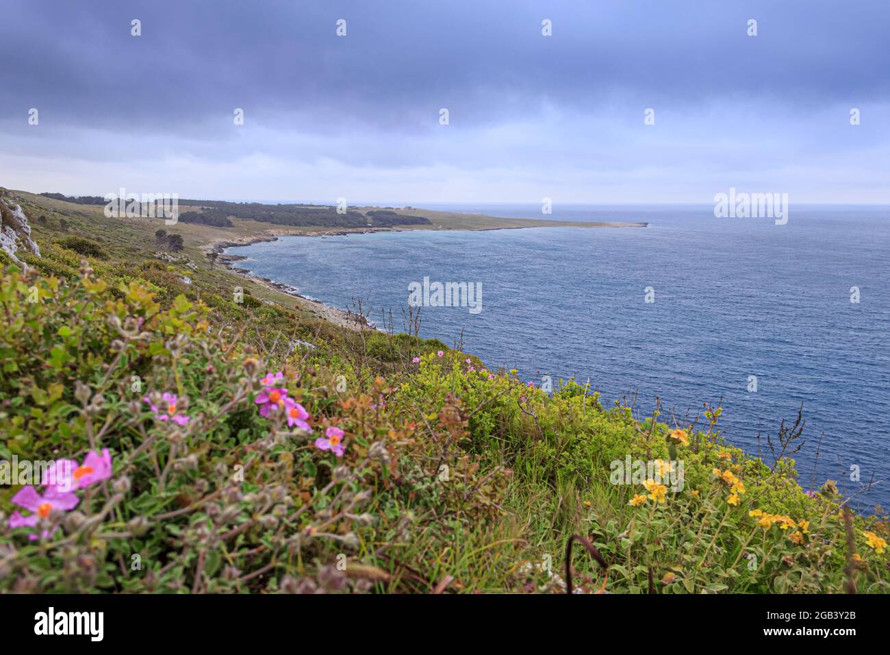 The most beautiful coasts of Italy. Adriatic sea of Salento Orte Bay, a ...
