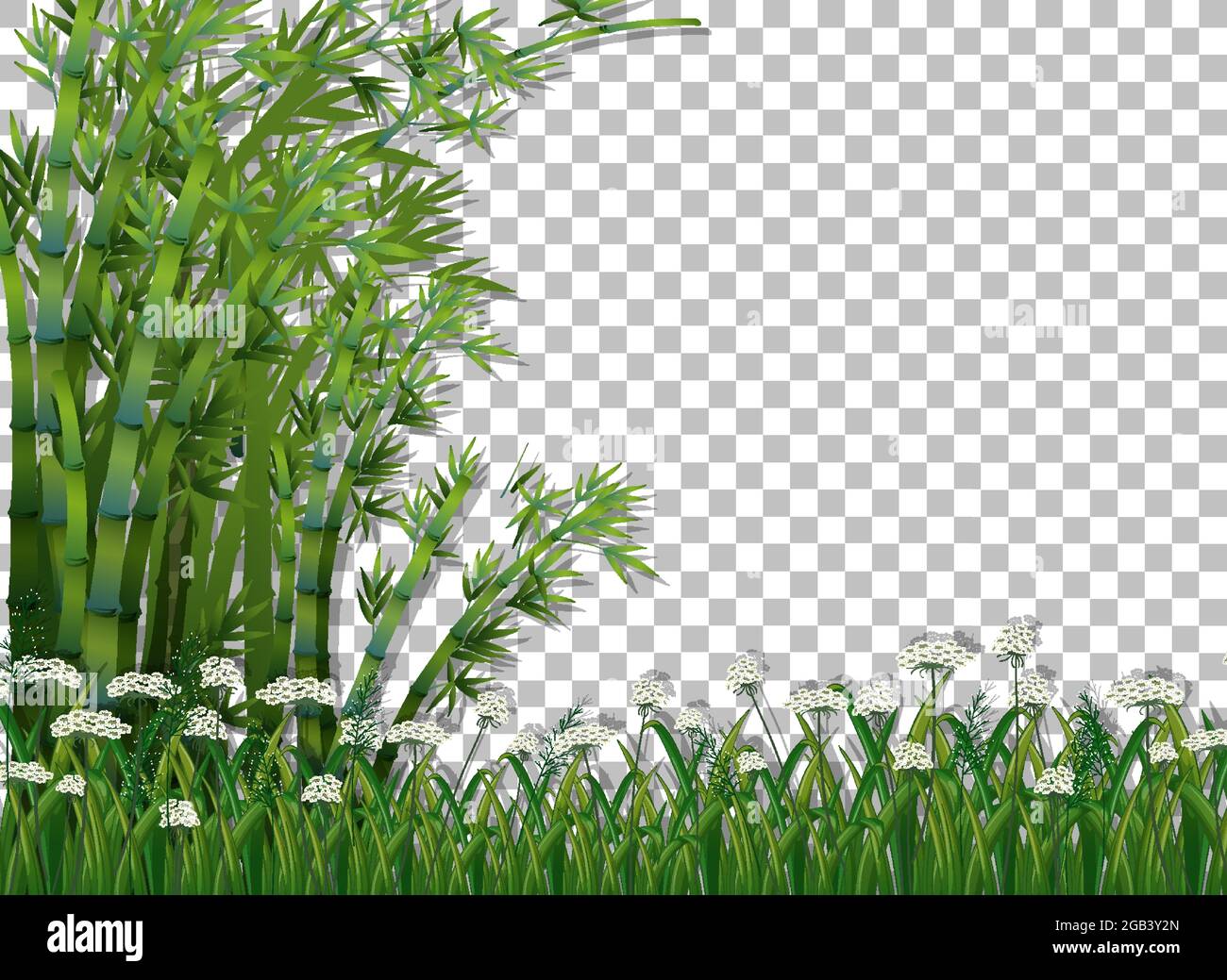 Bamboo tree and grass on transparent background illustration Stock ...