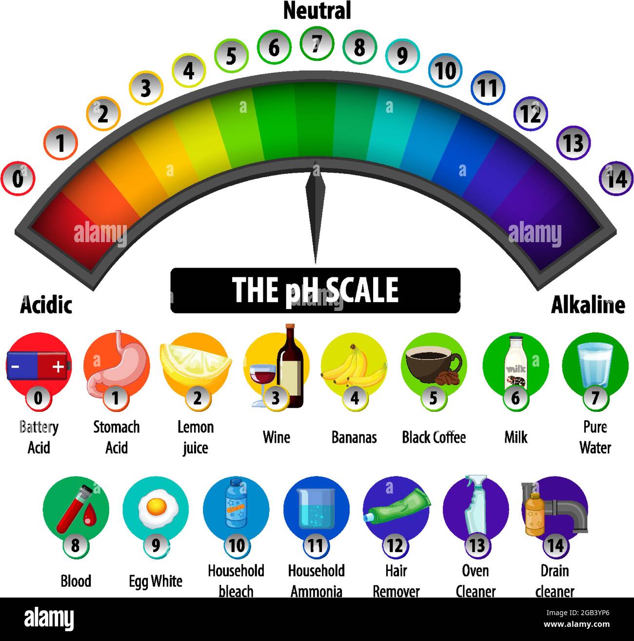 The pH Scale diagram on white background illustration Stock Vector ...