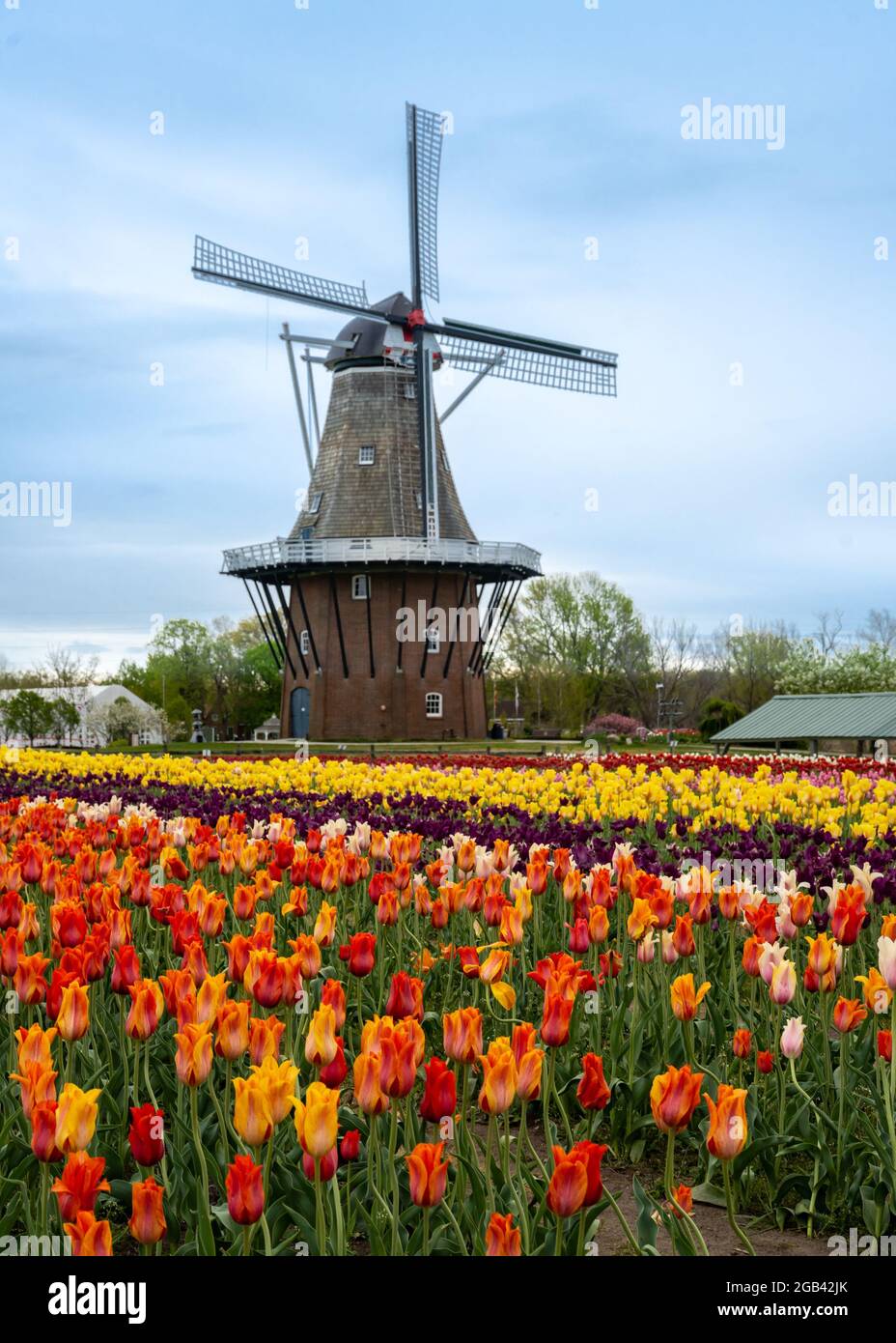 DeZwaan Windmill, Windmill Island Gardens, in Holland, Michigan Stock ...