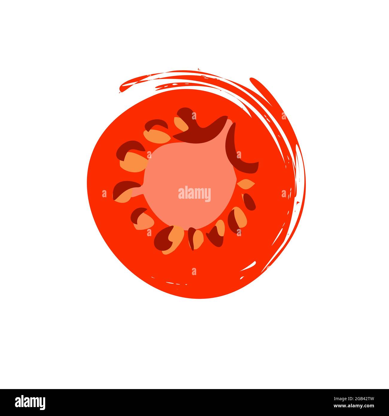 Tomato slice illustration isolated on white ackground Stock Vector ...