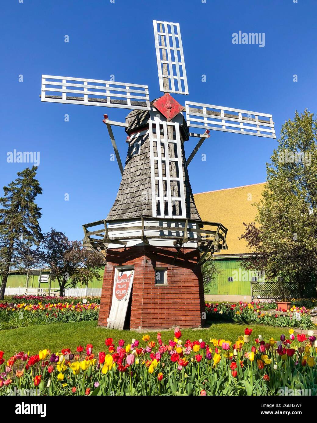 Windmill, Veldheer Tulip Gardens, in Holland, Michigan Stock Photo - Alamy