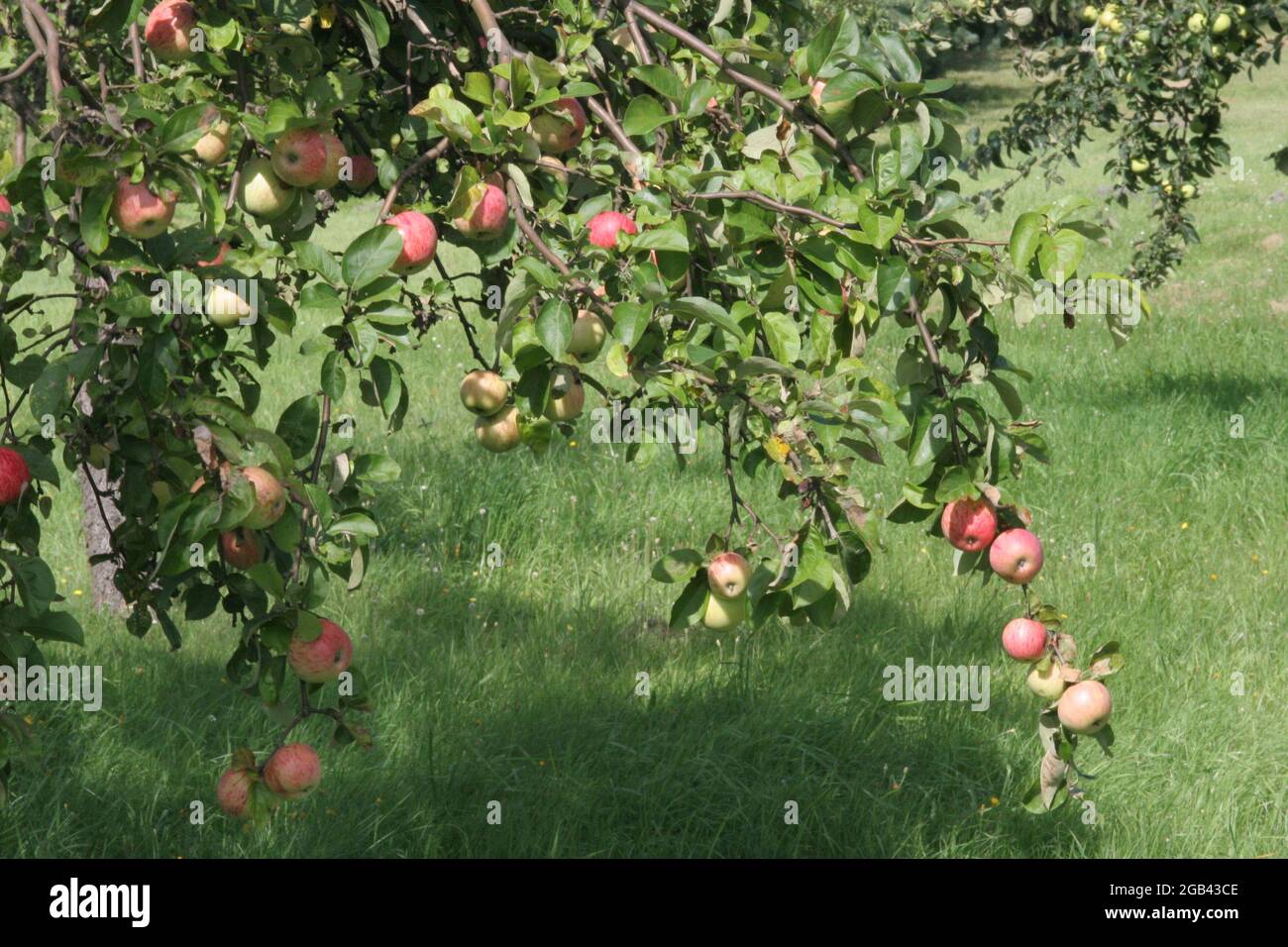 Court mill hi-res stock photography and images - Alamy