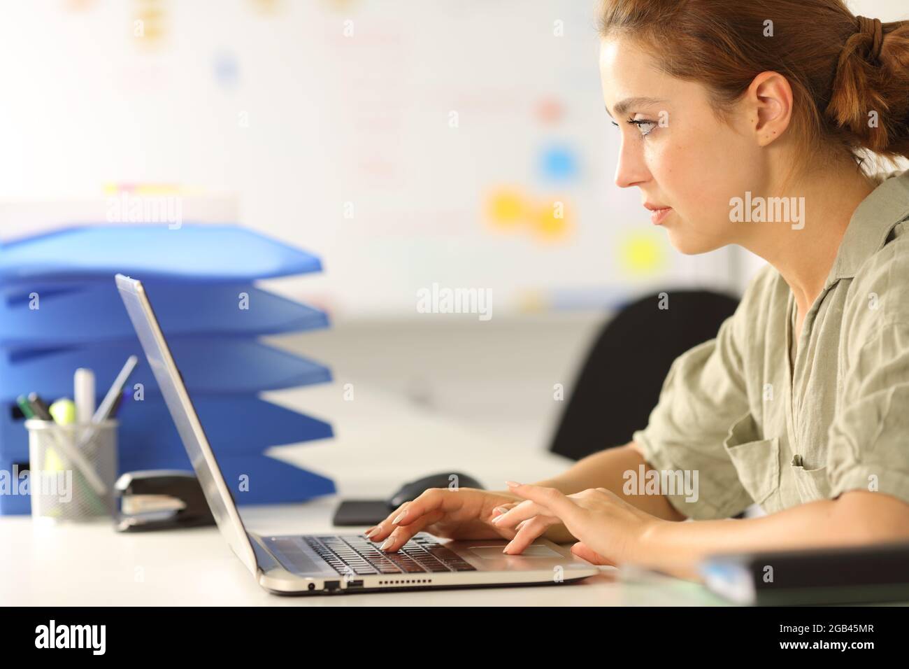 Side view portrait of a concentrated woman working checking laptop at ...