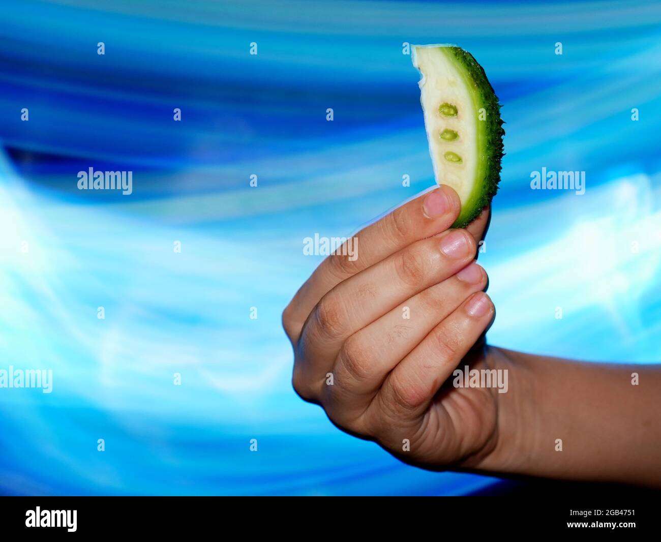 Fresh organic One piece fresh sliced pointed gourd presented on lady ...