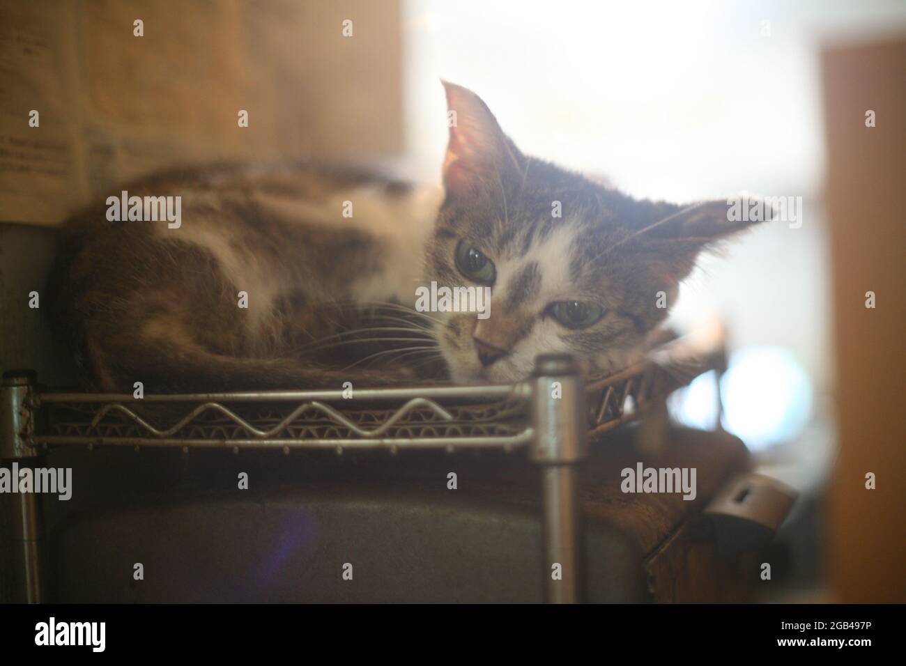 Cardboard rack hi-res stock photography and images - Alamy